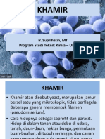 Morfologi dan Klasifikasi Khamir | PDF