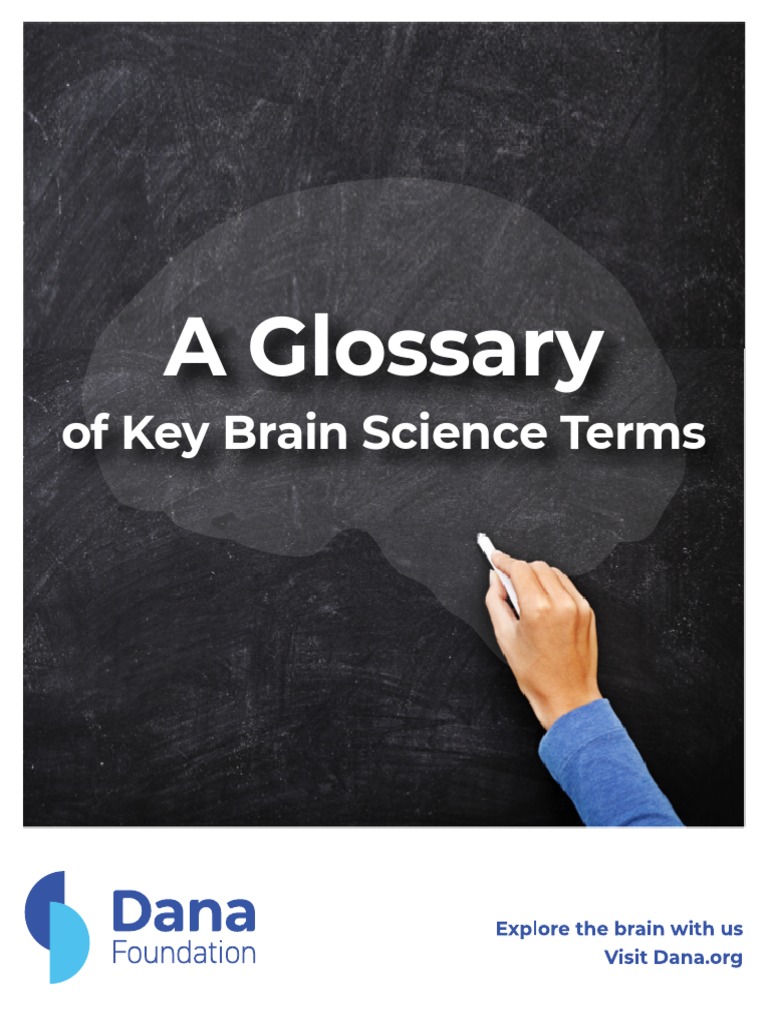 A Concise Guide to Key Terms in Brain Science | PDF | Brain | Neuron