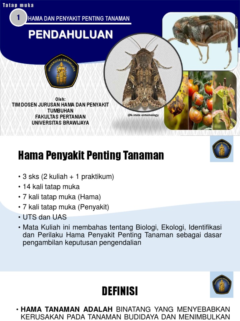 Identifikasi Hama dan Penyakit Tanaman | PDF