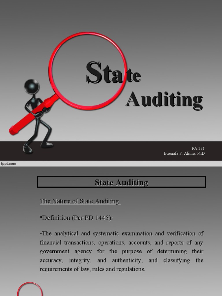 Understanding State Auditing Principles | PDF | Audit | Accounting