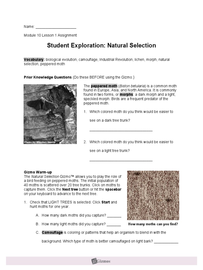 Module 10 Lesson 1 Assignment | PDF | Biology | Organisms