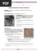 Peppered Moths Natural Selection Game | PDF