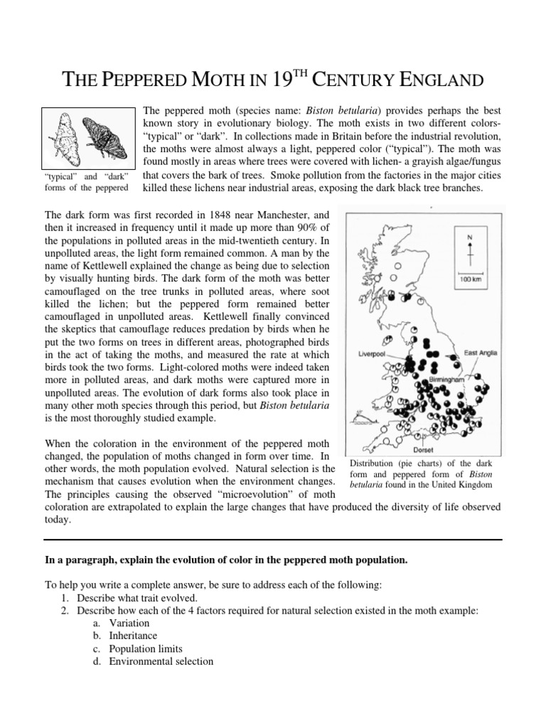 Peppered Moth Reading | PDF | Natural Selection | Evolutionary Biology