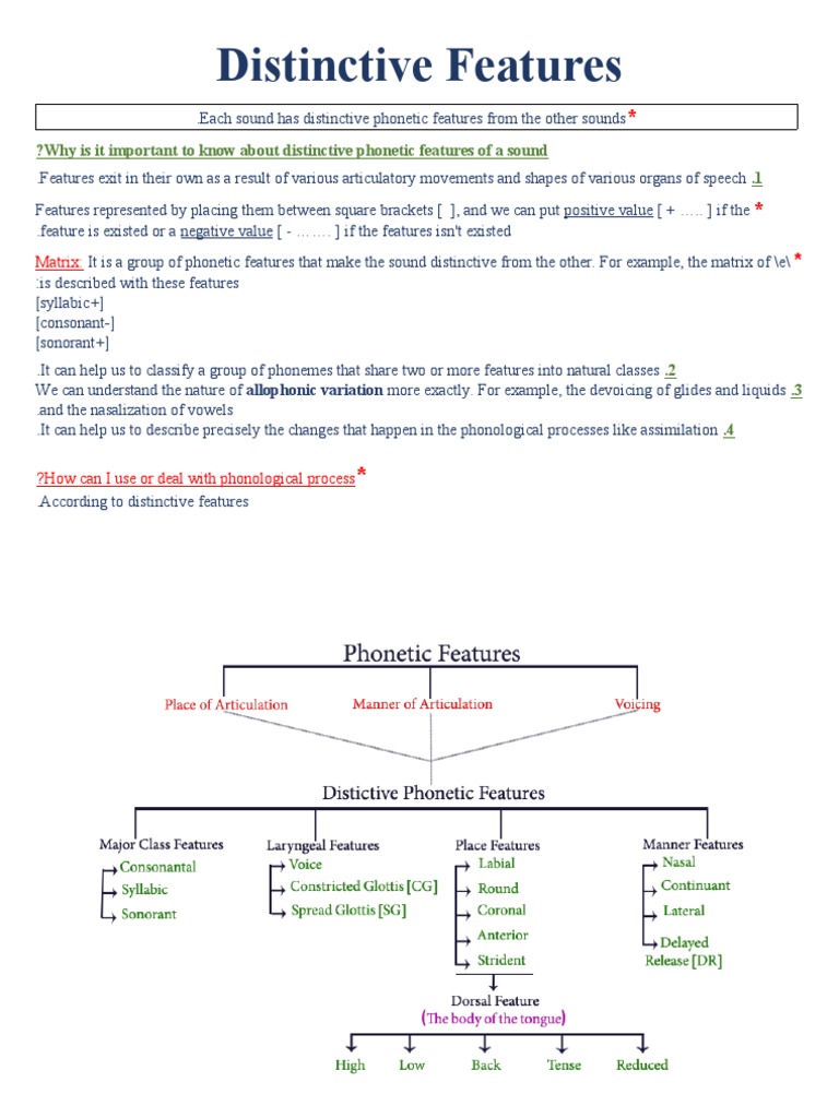 Chapter 2. Distinctive Features | PDF | Syllable | Consonant