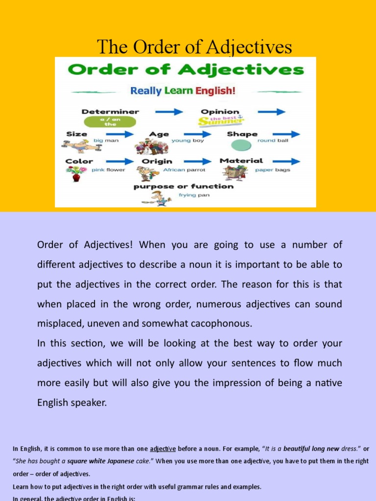Adjective Order Bun | PDF | Adjective | Noun