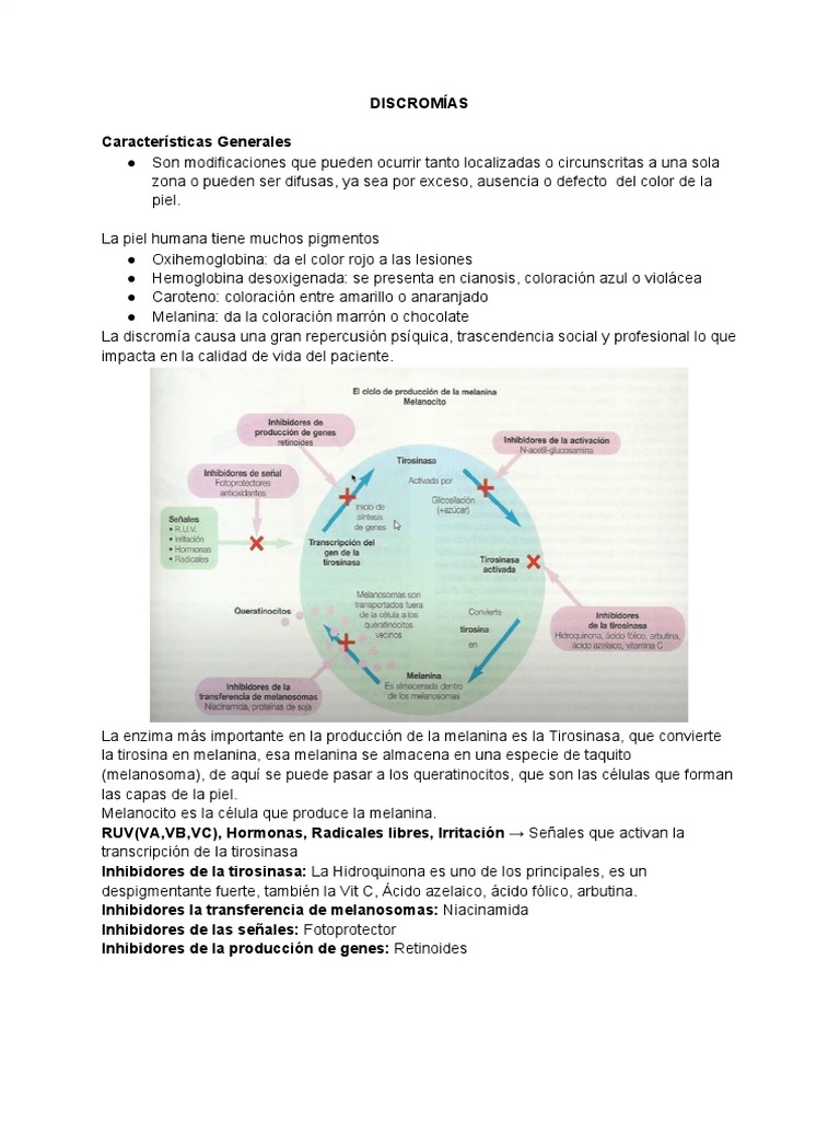 Discromías: Tipos y Tratamientos | PDF | Piel | Medicina CLINICA