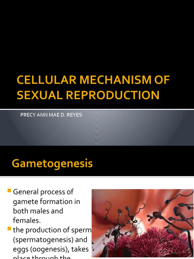 Cellular Mechanism of Sexual Reproduction | PDF | Meiosis | Fertilisation
