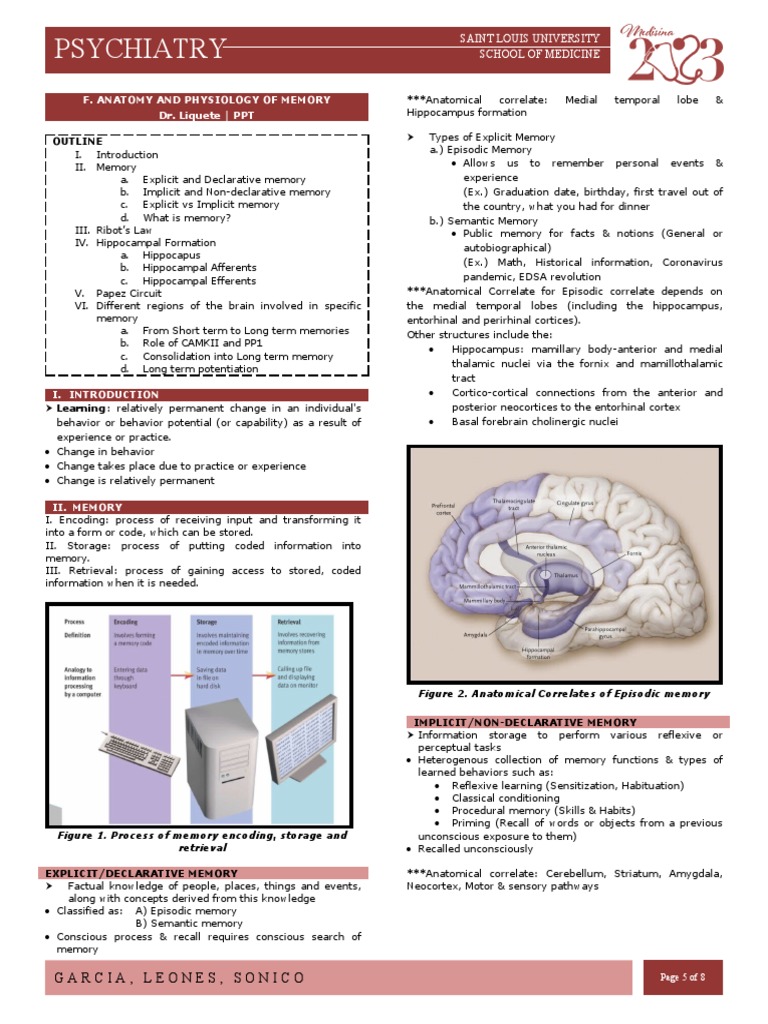 Anatomy and Physiology of Memory | PDF | Hippocampus Anatomy | Hippocampus
