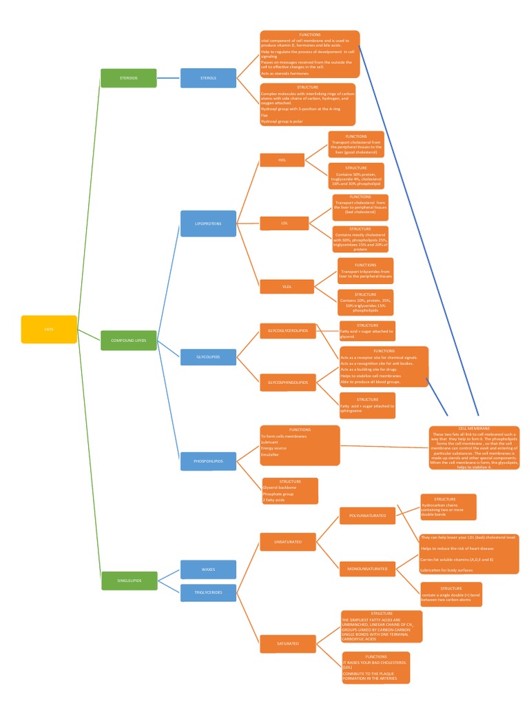 Concept Map | PDF | Cholesterol | Fat