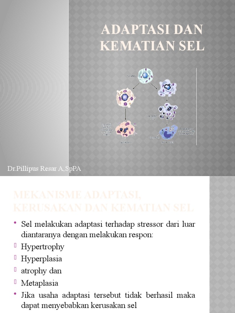 Kematian Sel | PDF | Sains & Matematika