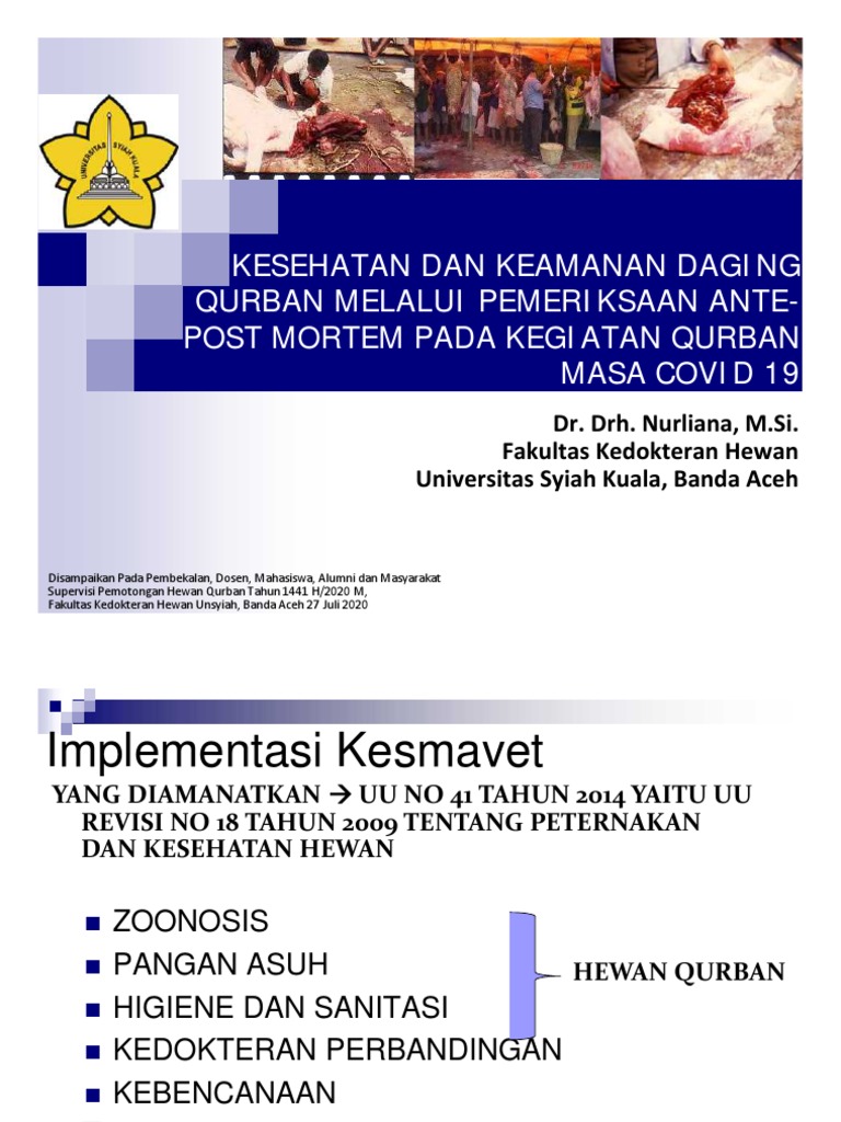 Pemeriksaan Ante-Post Mortem Hewan Qurban 1441 H | PDF