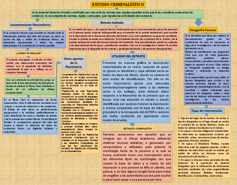 Estudio Criminalístico | PDF | Ciencia forense | Investigación