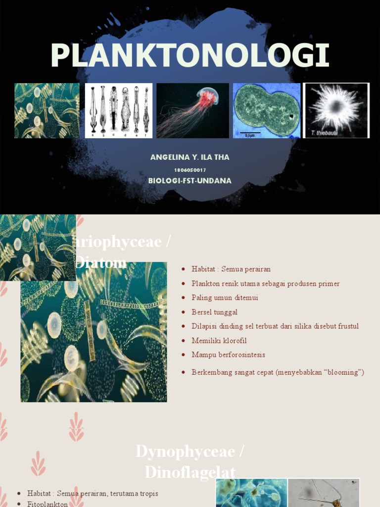 Jenis-Jenis Plankton | PDF