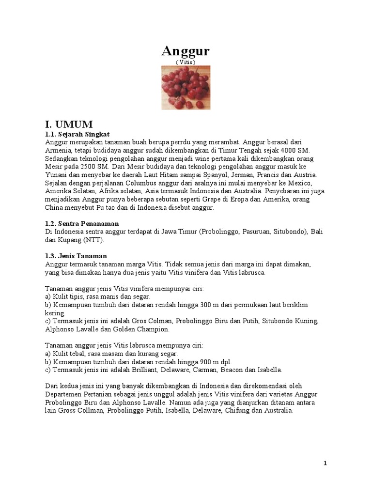 Anggur Makalah | PDF