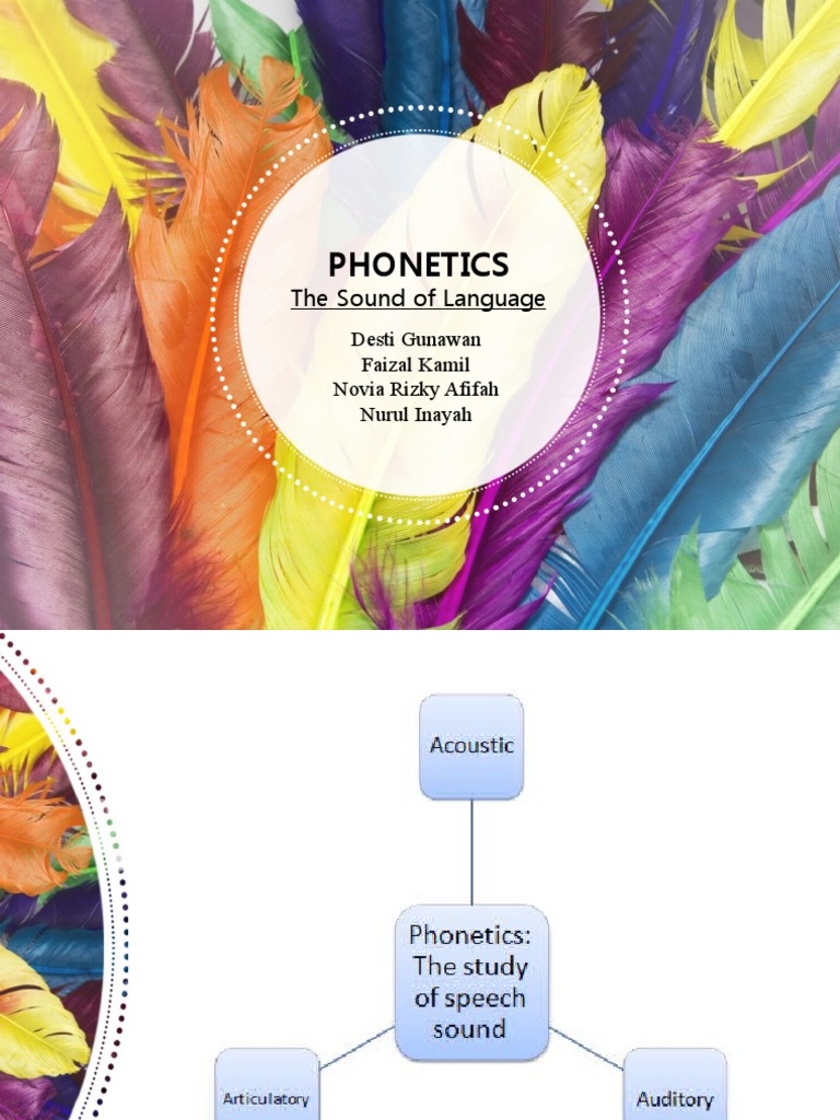 Phonetics (The Sound of Language) | PDF | Vowel | Tone (Linguistics)