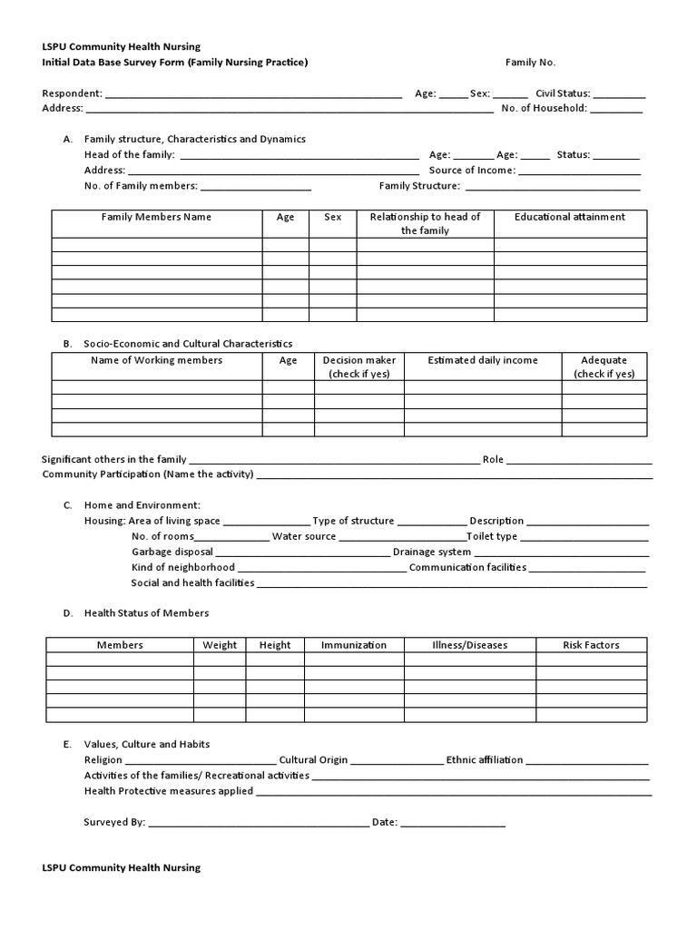 CHN Community Survey Form | Download Free PDF | Family | Health Care