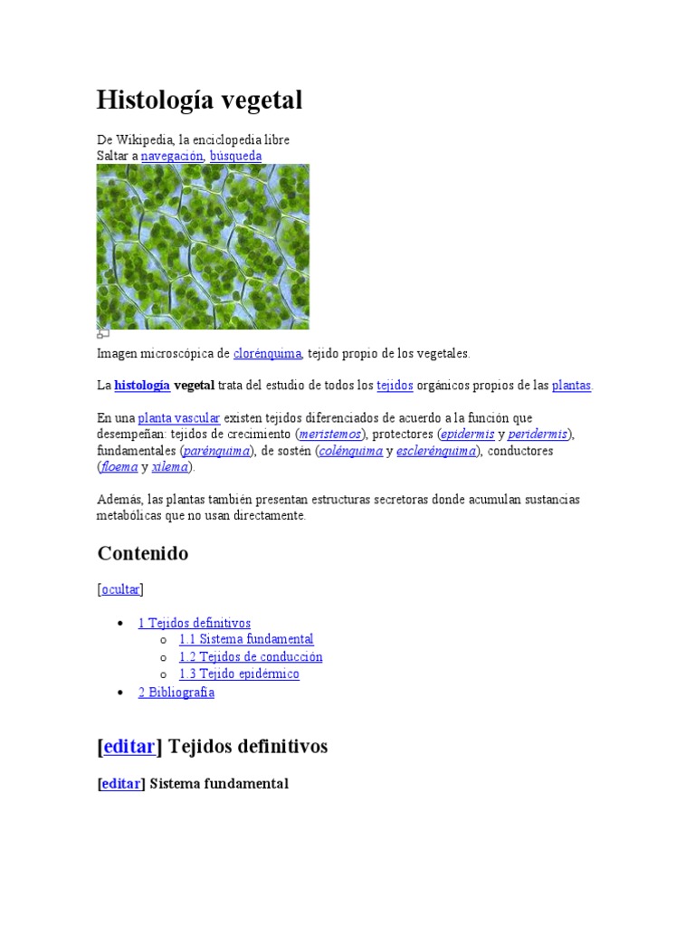 Histología Vegetal | PDF | Botánica | Plantas