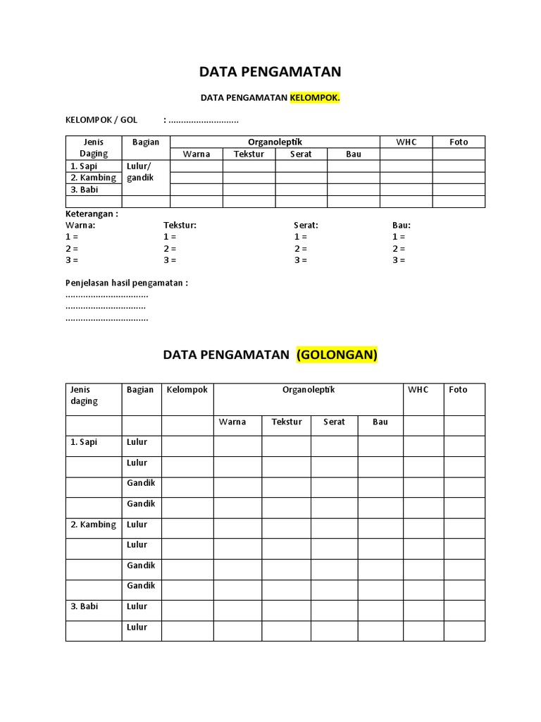 Data Pengamatan Organoleptik Daging | PDF