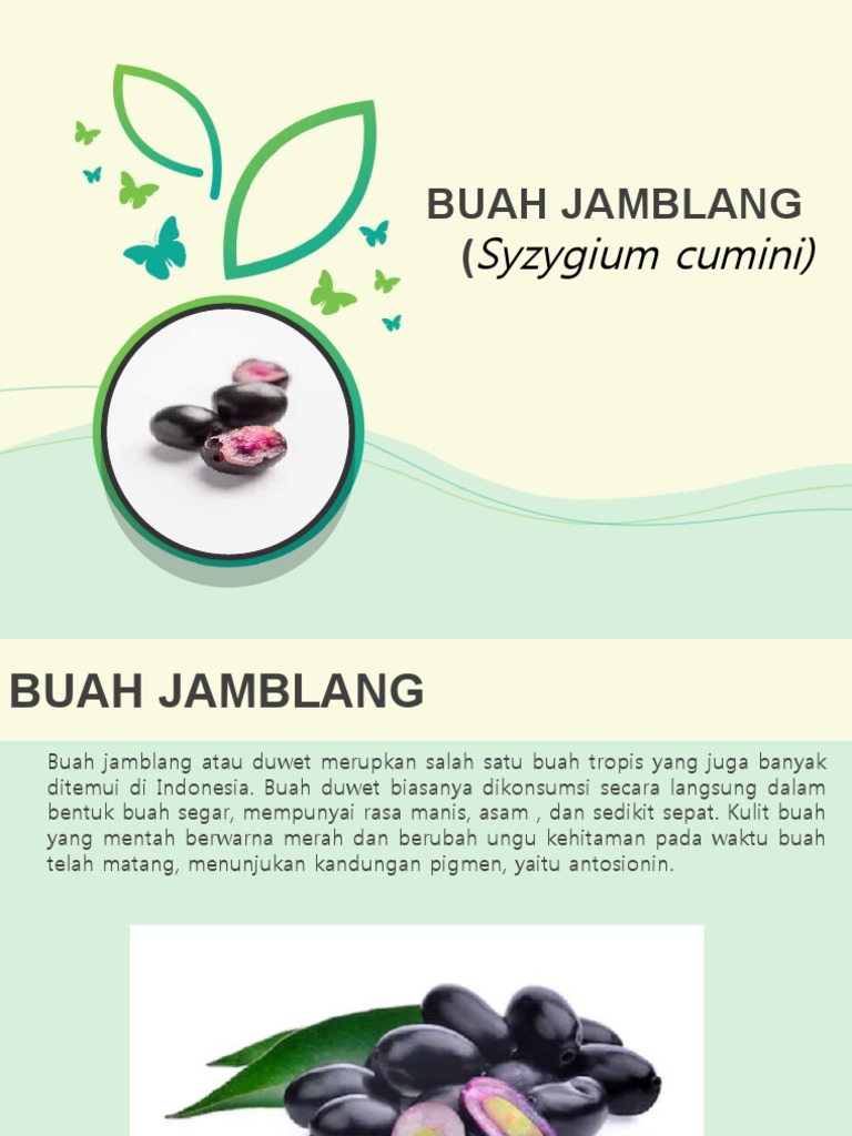 Buah Jamblang | PDF