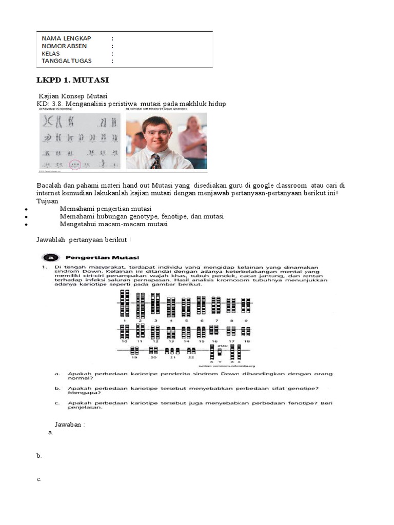 LKPD 1 Mutasi Dan Macam Mutasi | PDF | Ilmu Sosial