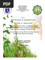 Certificate of Recognition For Feeding Program | PDF