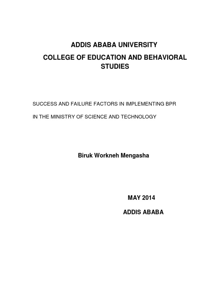 Biruk Workneh | PDF | Business Process | Innovation