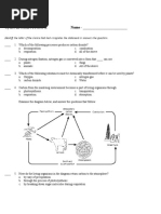 Earth and Life Science Diagnostic Exam | PDF | Rock (Geology) | Earth