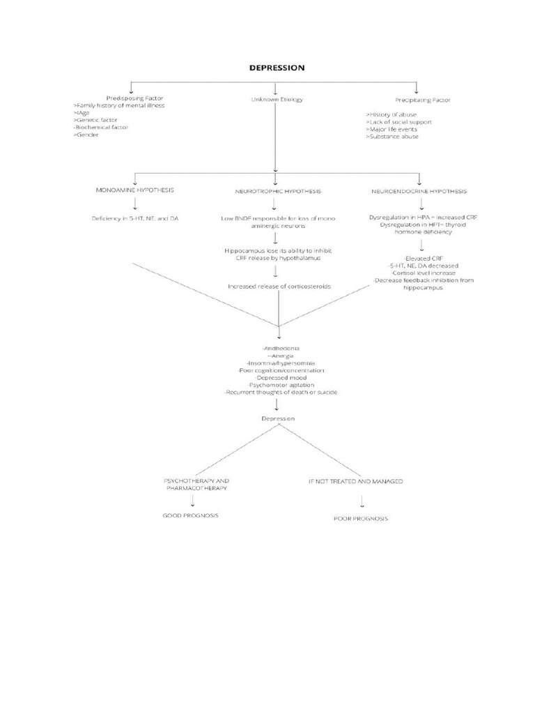 Depression Pathophysiology | PDF