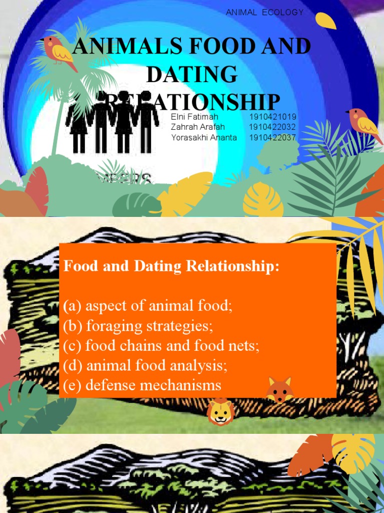 Group 4 Animal Food Pdf Food Web Predation