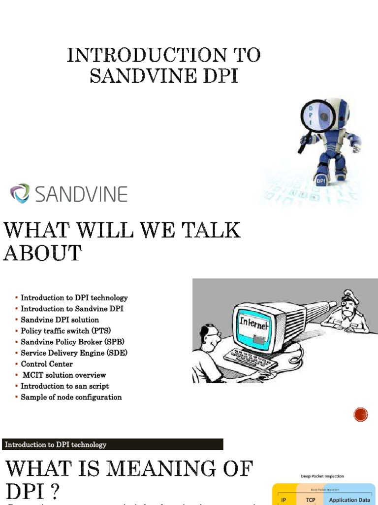 Overview of Sandvine DPI Solutions | PDF | Data Transmission | Computer ...