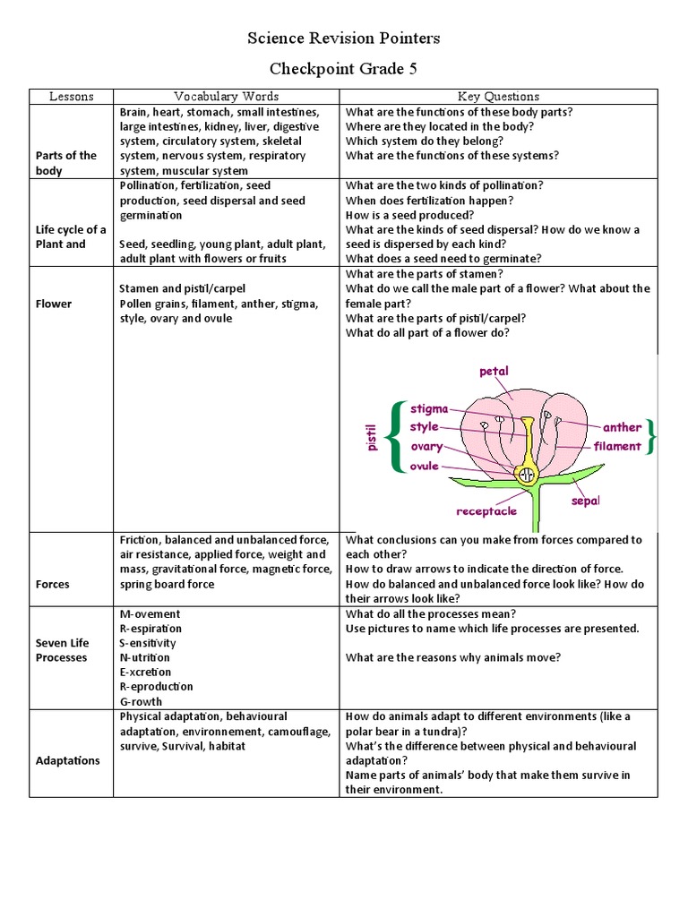 Grade 5 Science Study Guide | PDF | Flowers | Physical Sciences