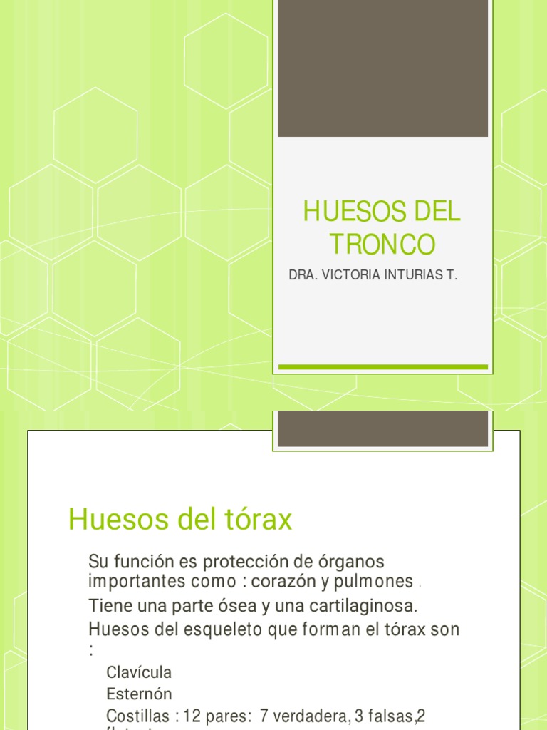 Anatomía del Tronco y Miembro Superior | PDF | Tórax | Mano