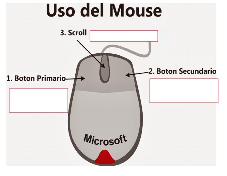 Funciones Del Mouse | PDF