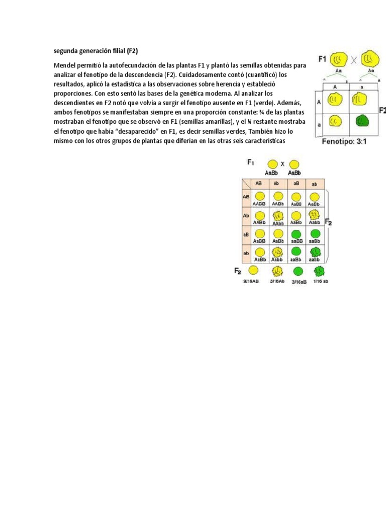 Segunda Generación Filial | PDF