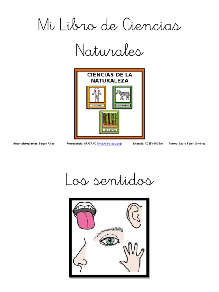 03 Ciencias Naturales EP Los Sentidos | PDF | Sentidos | Experiencia ...