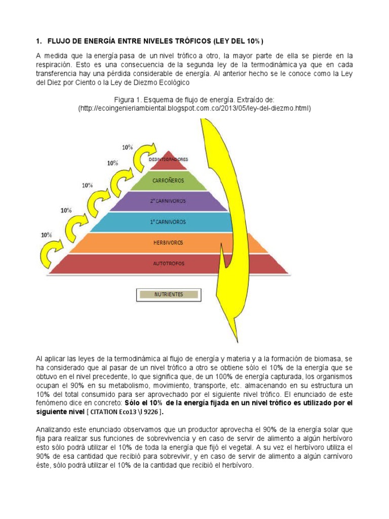 Flujo de Energía Entre Niveles Tróficos | PDF | Biomasa | Fotosíntesis