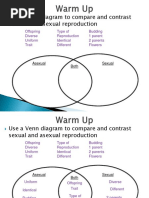 Handout Starburst Identity Chart | PDF
