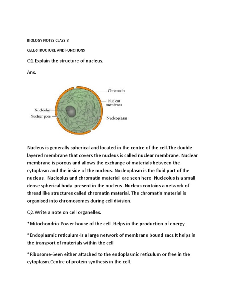 Biology Notes Class 8 Cell-Structure and Functions | PDF