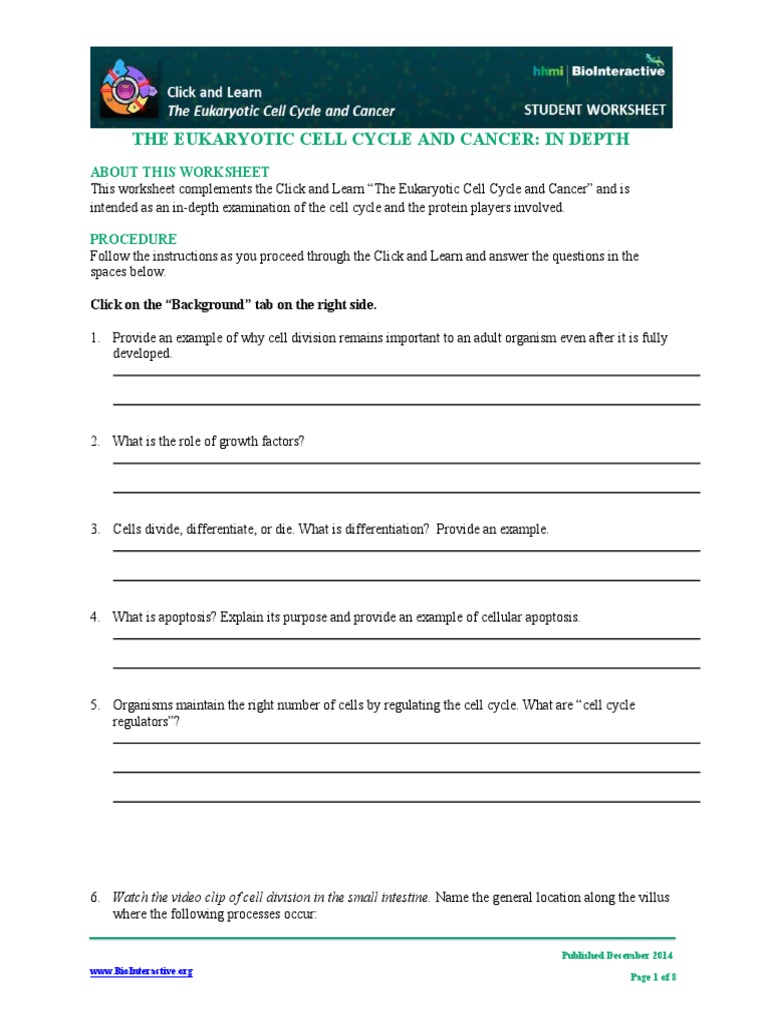 The Eukaryotic Cell Cycle and Cancer: in Depth: About This Worksheet ...