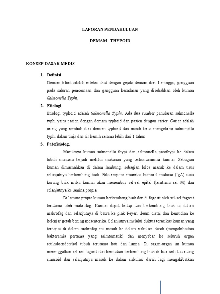 LP Demam Thypoid | PDF