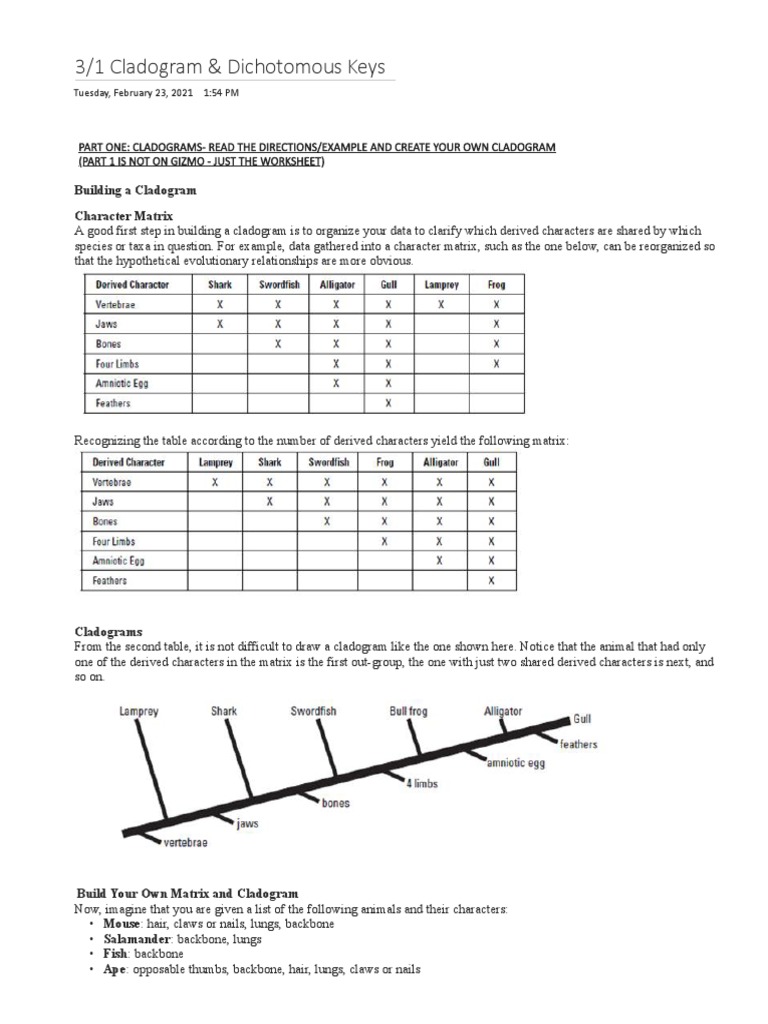 Cladogram and Dichotomous Keys | PDF | Nature