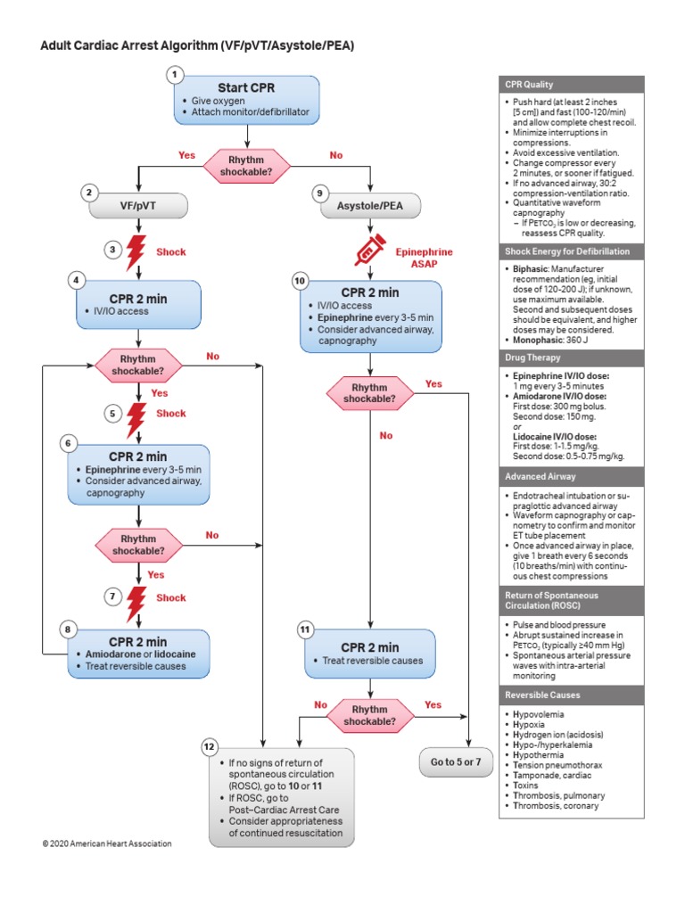 Algorithm-ACLS CA 200731 | PDF | Cardiopulmonary Resuscitation ...