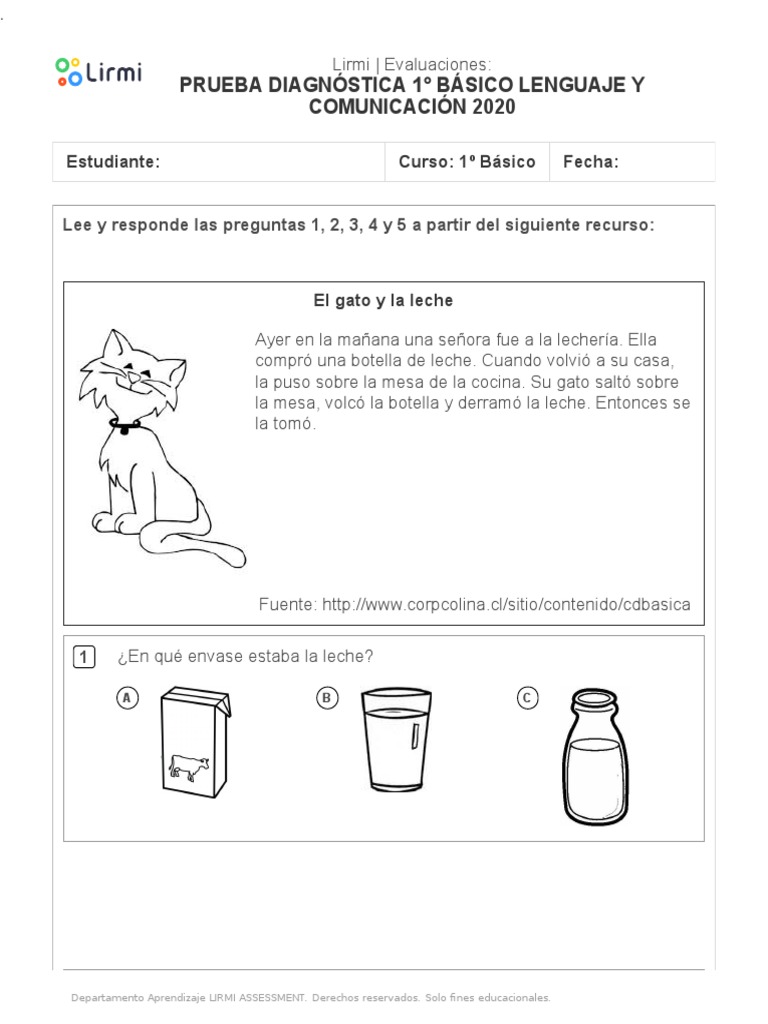 Prueba Diagnóstica Lenguaje 1° Básico | PDF | Aves | Leche