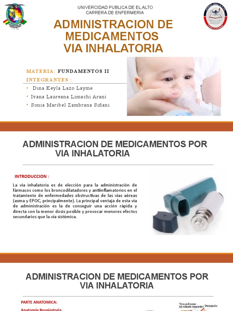 Via Inhalatoria | PDF | Sistema respiratorio | Respiración