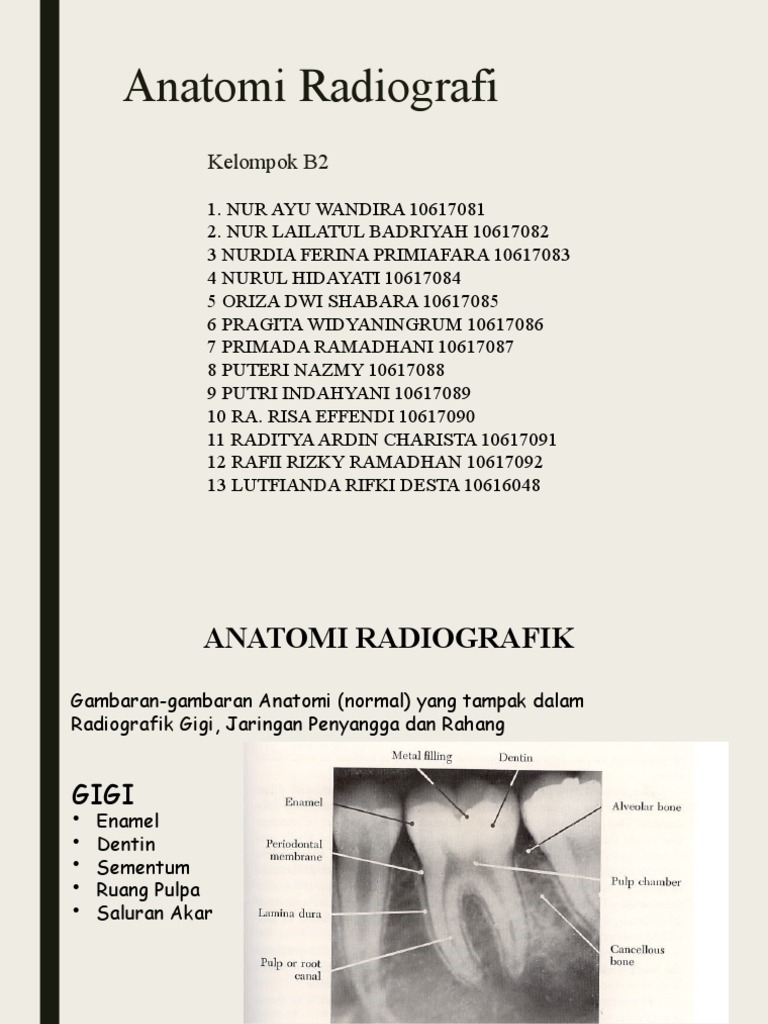Anatomi Radiografik RKG 2 | PDF