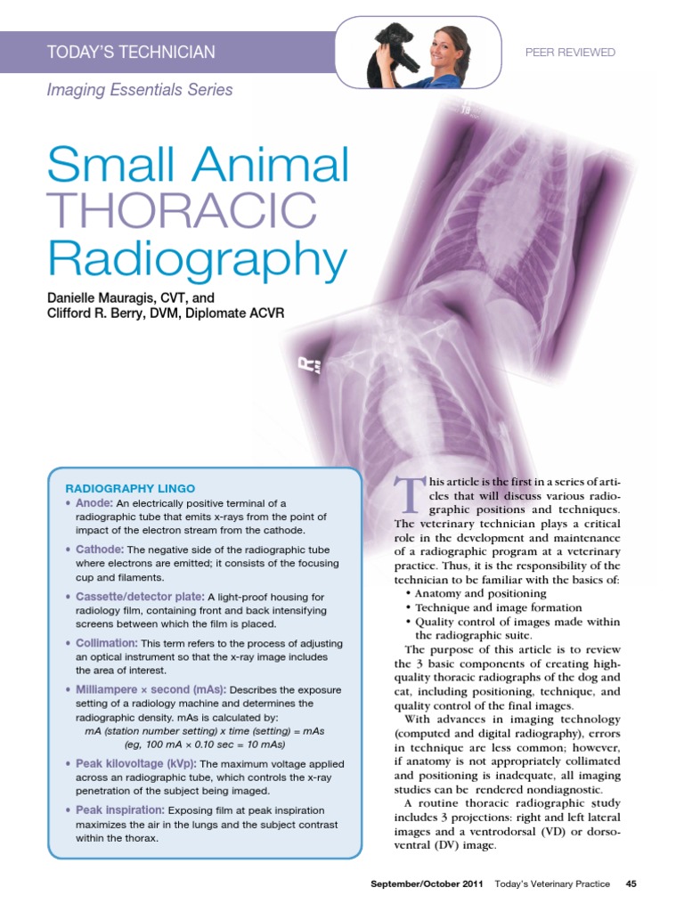 Radiograph Thorax Vet Practice 2011 | PDF | Radiography | Thorax