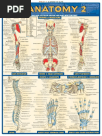 AWS D18.2 Discoloration-Chart | PDF