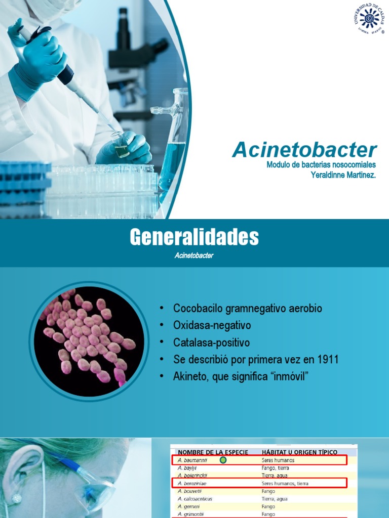 Acinetobacter Baumanni | Descargar gratis PDF | Beta lactamasa ...