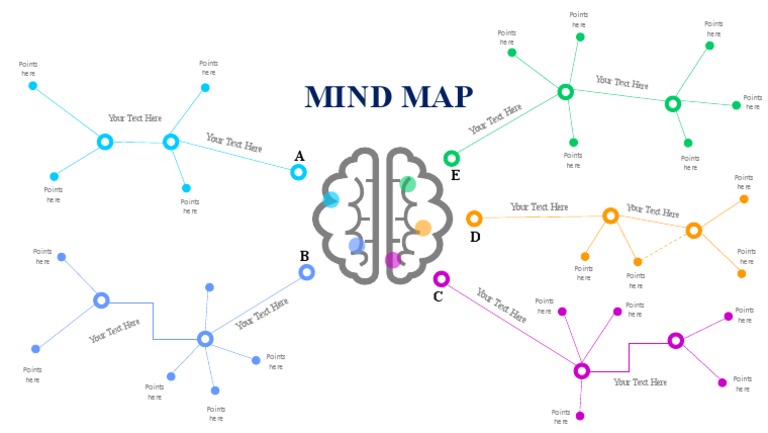 Brain Mind Map | PDF