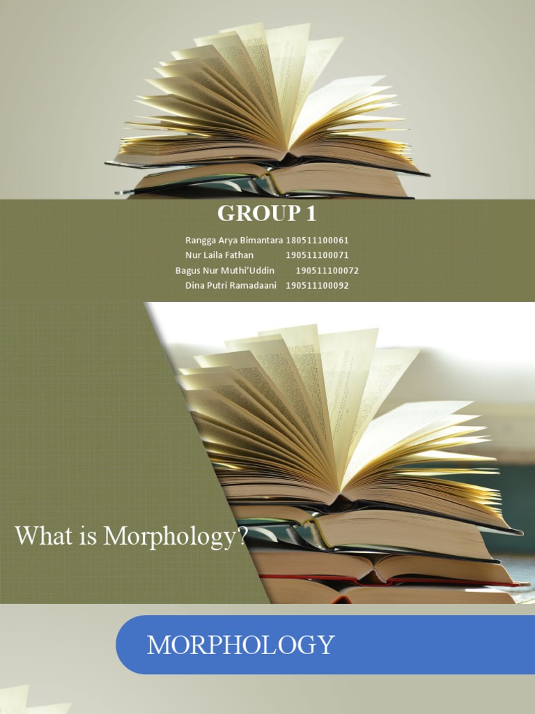 Morphology | PDF | Morphology (Linguistics) | Word